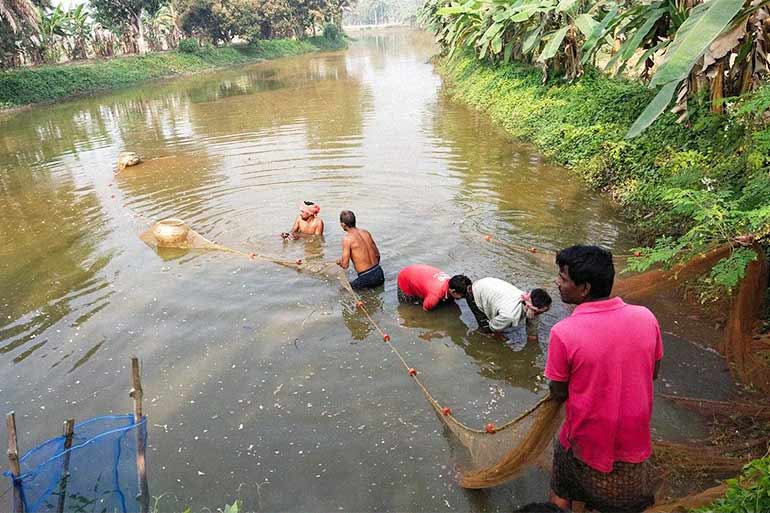 দেশি ছোটো মাছের সংরক্ষণ: গ্রামে গ্রামে অভয় পুকুর