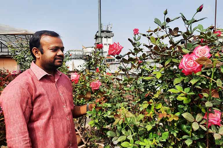 বাড়ির ছাদ বাগানে প্রকৃতি-প্রেমের সহজপাঠ শেখাচ্ছেন শিলিগুড়ির কৌস্তভ বিশ্বাস